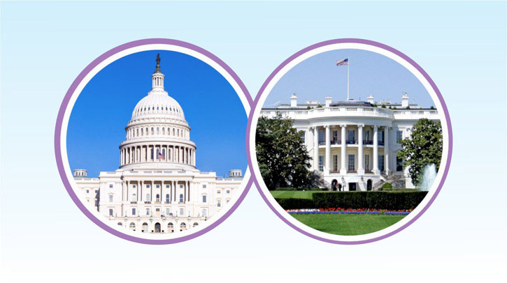 US Foreign Policy Powers, Congress and the President – Jahangir's World ...