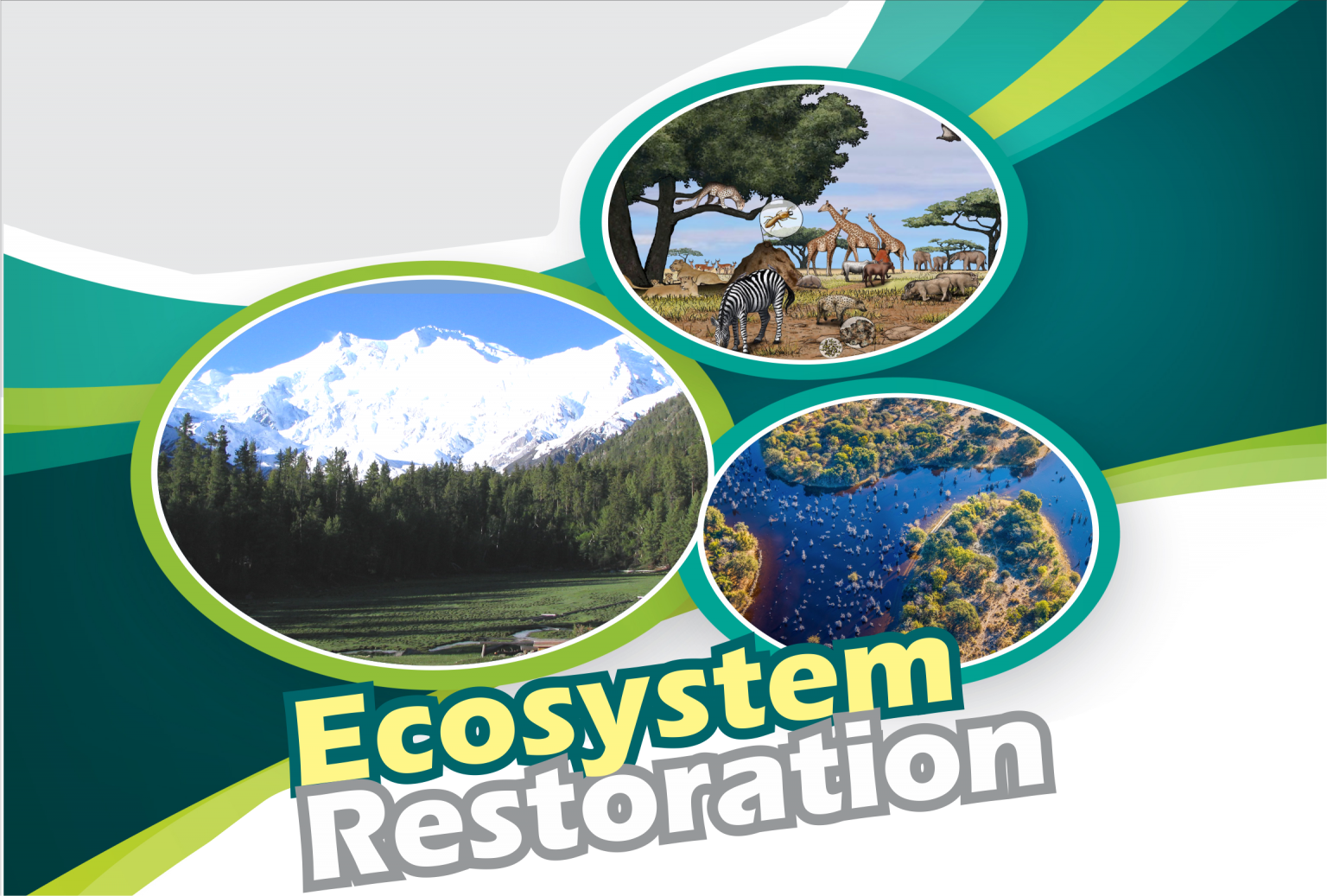 Ecosystem Restoration – Jahangir's World Times