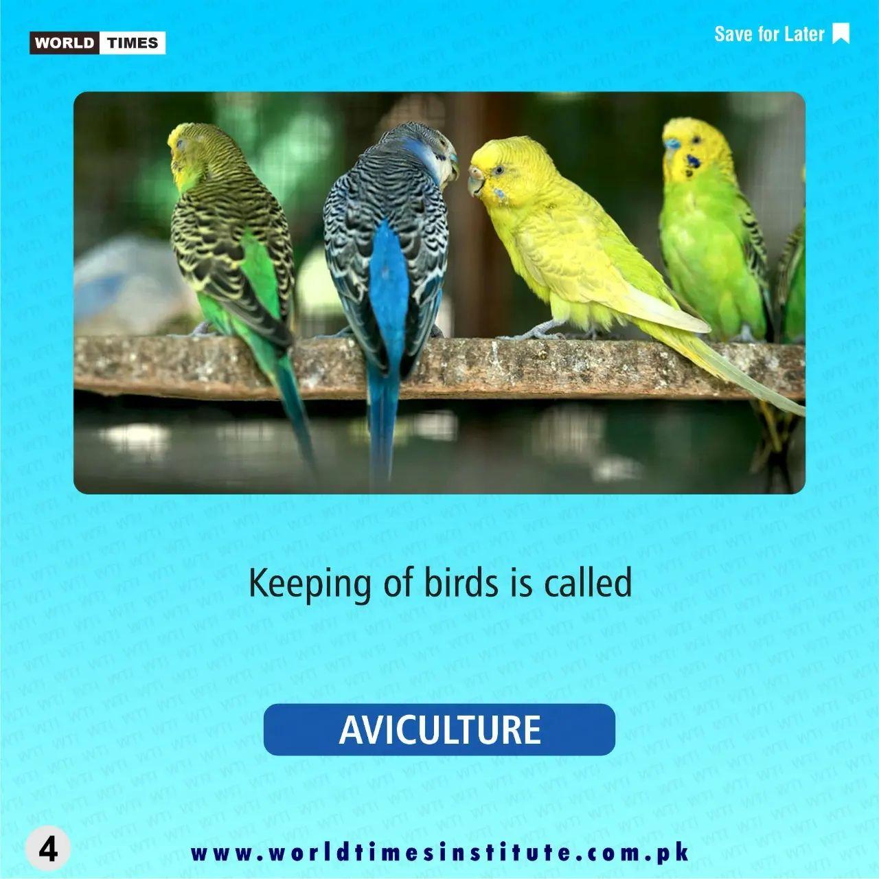 General Knowledge 24-12-2022 – Jahangir's World Times