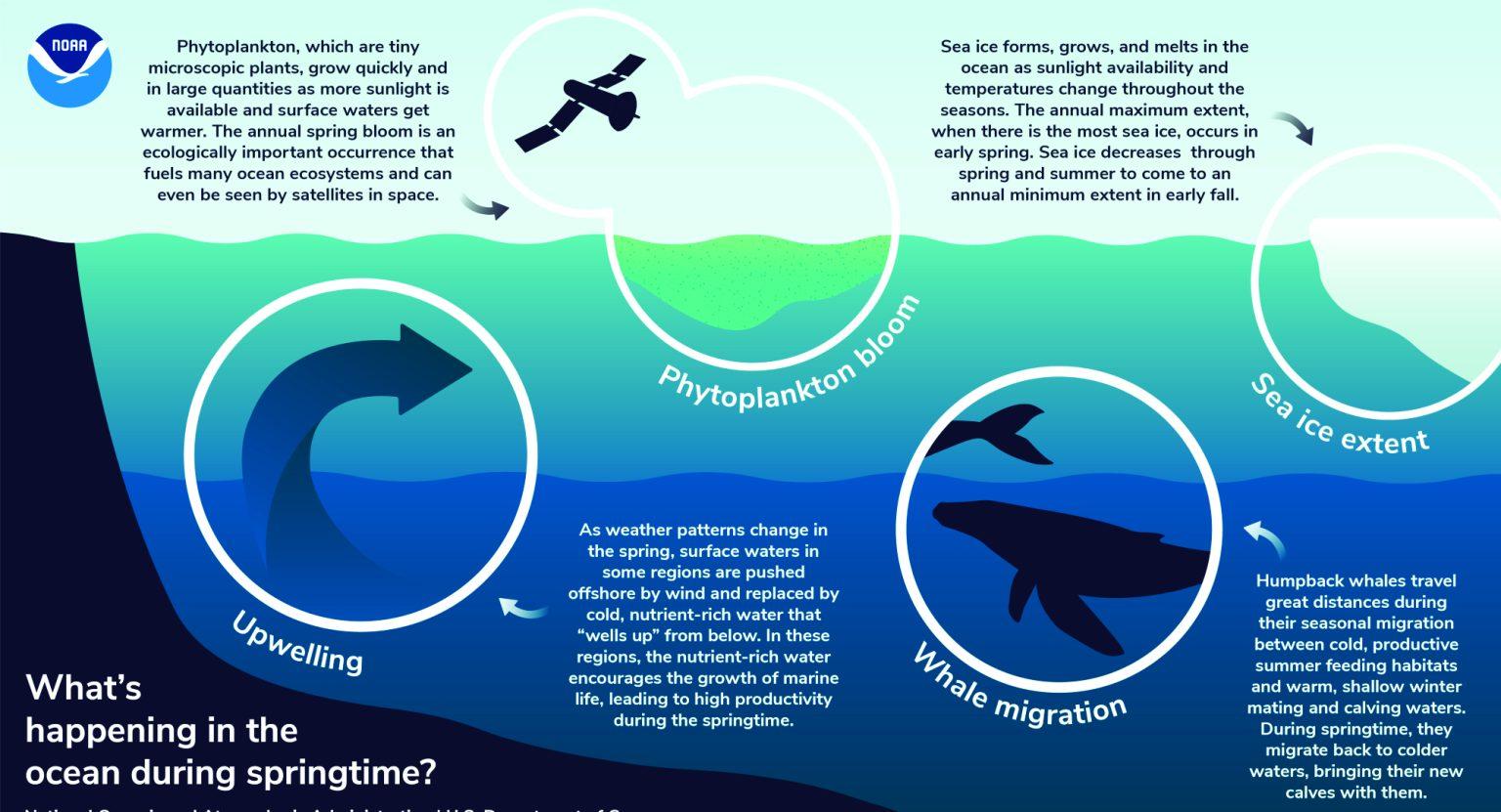Our Unprecedented Impact on the Oceans – Jahangir's World Times