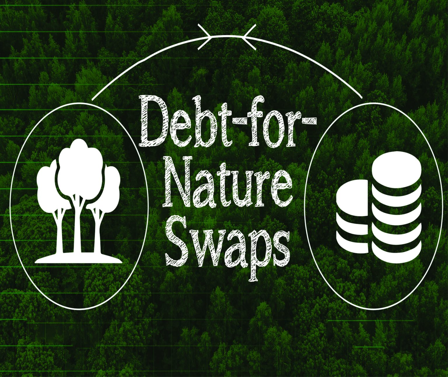 Debt-for-Nature Swaps – Jahangir's World Times