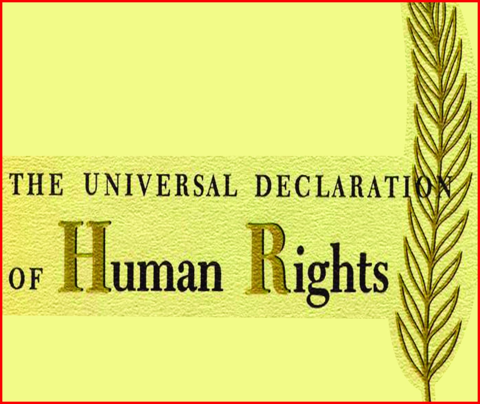 The Universal Declaration of Human Rights – Jahangir's World Times